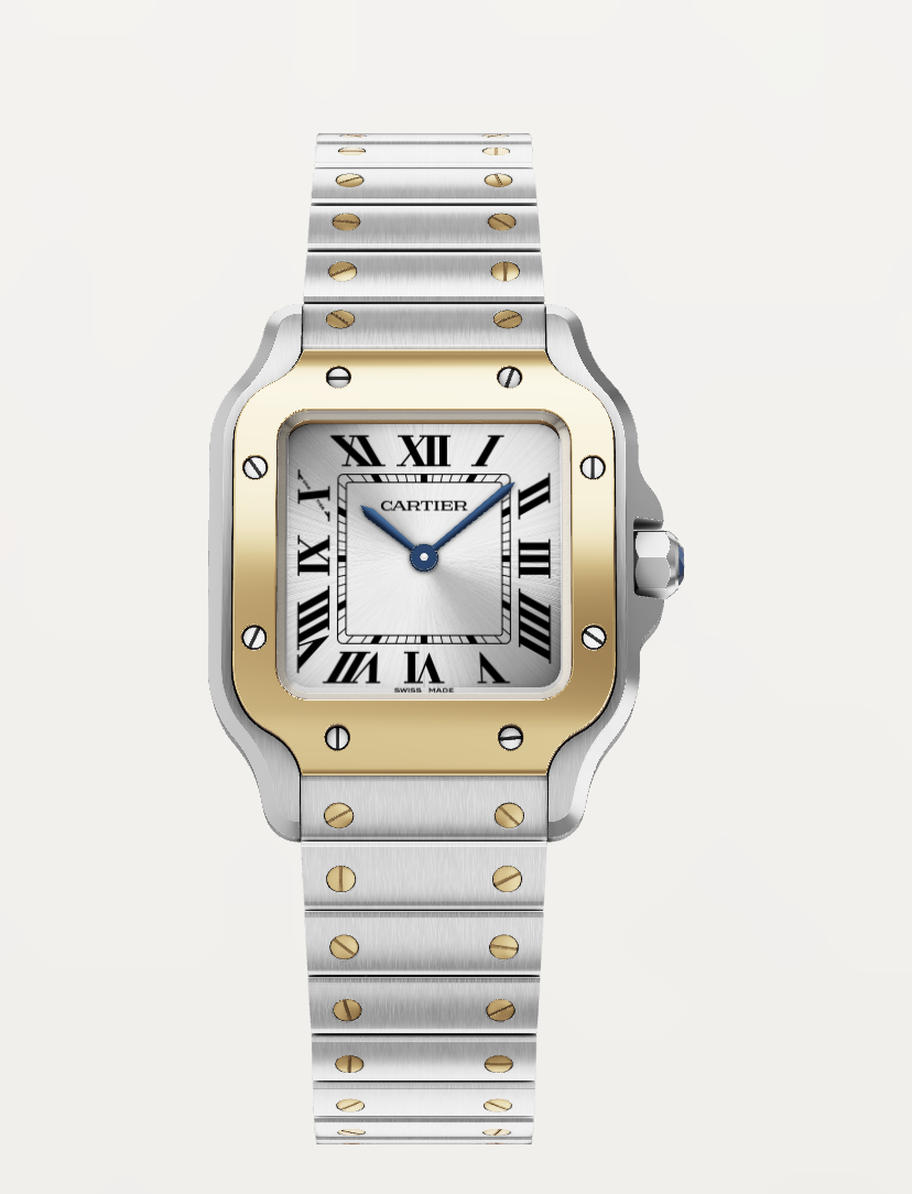 Cartier Santos W2SA0033 Wrist watch